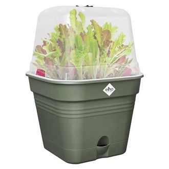 ELHO Green Basics Pot De Culture Carr&eacute; Allin1 35 - Pot De Fleurs pour Culture & R&eacute;colte - Plastique 100% recycl&eacute; - &Oslash; 34.6 x H 29.2 cm - Vert/Leaf Green