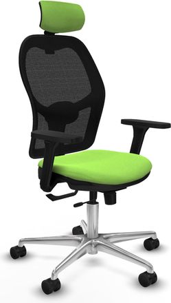 Piqueras y Crespo Ergonomischer Telearbeitsstuhl mit 3D-Armen, h&ouml;henverstellbare Lendenwirbelst&uuml;tze und h&ouml;henverstellbares Kopfteil, Schwarz / Pistazie