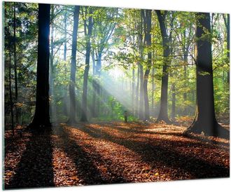 Arttor Bilder auf Glas 100x70cm Glasbild Wald Blätter Sonne Groß Wanddeko Bild im Glas Schlafzimmer Küche Deko Wandbilder Dekoration Wohnzimmer Modern Wall D