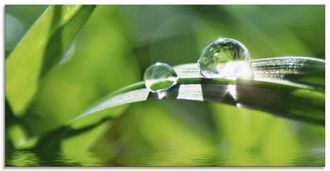 Artland ARTland Wanddeko Glasbilder Wandbild Glas Bild einteilig 60x30 cm Querformat Natur Botanik Pflanzen Gräser Wassertropfen Gras Sommer Sonne Grün T5SE