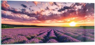 Arttor Panorama Bilder auf Glas 100x40cm Glasbild Lavendel Berge Feld Groß Wanddeko Bild im Glas Schlafzimmer Küche Wandbilder Dekoration Wohnzimmer Modern W