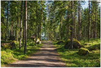 artboxONE Poster 90x60 cm Natur Waldweg zum See hochwertiger Design Kunstdruck - Bild Wald entspannung erholsam