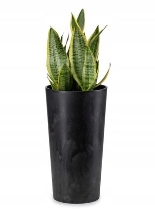 HowHomely Blumentopf Gross Hoch 47 cm mit Pflanzk&uuml;bel Einsatz 26 cm Durchmesser - Schwarz Pflanzk&uuml;bel Gro&szlig; aus Kunststoff f&uuml;r Deko Wohnzimmer Garten oder Terras