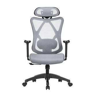 Songmics B&uuml;rostuhl, ergonomischer Schreibtischstuhl, Computerstuhl, Netzstuhl, verstellbare Lendenst&uuml;tze und Kopfst&uuml;tze, bis 150 kg belastbar, h&ouml;henverstellbar