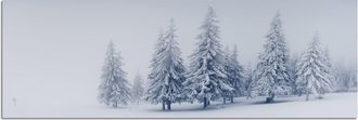 Paul Sinus Art Panoramabild auf Leinwand und Keilrahmen 150x50cm Winterwald Schnee Landschaft Nebel