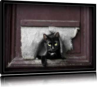 Pixxprint schwarze Katze durch Hundeklappe, Größe: 80x60cm, Leinwandbild, fertig gespannt, Wandbild, Dekoration, Kunstdruck, kein Poster
