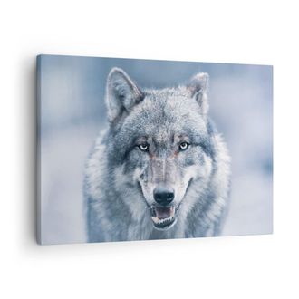 Arttor Bilder auf Leinwand Wolf Raubtier Wildheit Leinwandbild 70x50cm Wandbilder Dekoration Wohnzimmer Schlafzimmer Küche Deko Klein Wanddeko Bild Wand Kuns