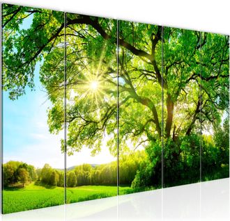 Runa Art Bild Wald Wandbilder auf Vlies Leinwand Wanddekoration Wohnzimmer Schlafzimmer 049956a