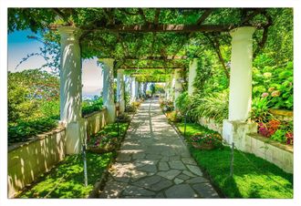 Wallario selbstklebendes Poster - Bl&uuml;hende Pergola, Aufkleber in Premiumqualit&auml;t, Klebefolie Gr&ouml;&szlig;e: 61 x 91,5 cm (Maxiposter)