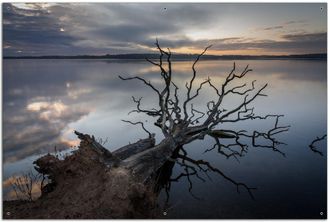 Wallario Outdoor-Poster f&uuml;r Garten oder Balkon Baum im Abendlicht, Motivbanner Gr&ouml;&szlig;e: ca. 60 x 90 cm, Outdoor-Bild
