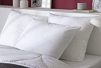 Abeil Biome Kopfkissen, 60 x 60 cm, mit Kissenschutz, 2 Stück