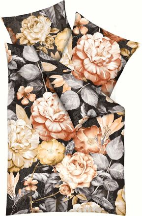 JACK by Kaeppel Fein Biber Bettw&auml;sche 2 TLG. 135x200cm Serena Anthrazit Oliv Rosen Blumen, Farbe:Anthrazit