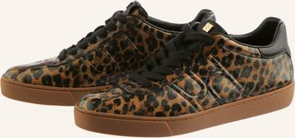 Högl Sneaker Cleo braun