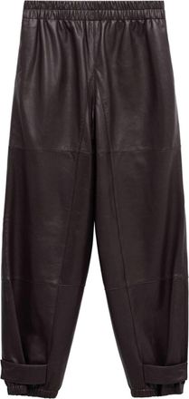 Mango Hose Partago