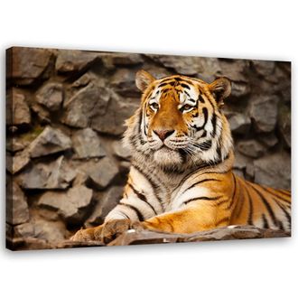 Feeby Vlies Leinwandbild Felsen Bengalischer Tiger Verlegung Gro&szlig;e Katze 60x40 cm Wanddeko Design Kunstdruck Zimmerdeko Bilderwand Tierwelt Raubtier Ruhen O