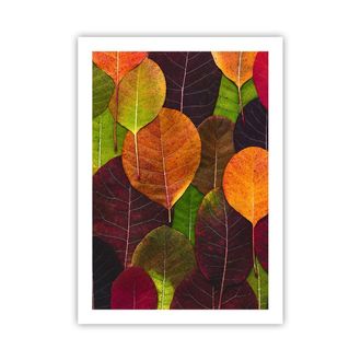 Arttor Wandposter Art Prints 50x70cm Poster ohne Rahmen Herbst Bl&auml;tter Grafiken K&uuml;che Wanddeko Bild Wand Kunstdruck Deko Wandbilder Dekoration Wohnzimmer Sch