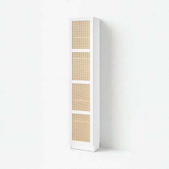 IKEA BILLY / H&Ouml;GADAL B&uuml;cherregal mit T&uuml;r
