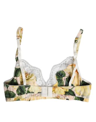 Dolce & Gabbana Lace-Trimmed Floral Print Bra - Multicolor