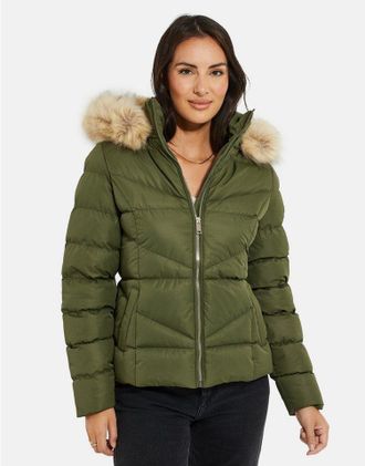 Threadbare Steppjacke (1-St) mit kuscheliger Kapuze