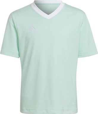 adidas Unisex Kinder Entrada 22 Jersey, Clear Mint, 7-8 Years