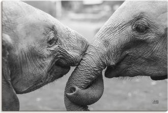 Artland Wanddeko Leinwand Bilder Wandbild aesthetic room decor Elefant deko Elefanten beste Freunde U5SZ