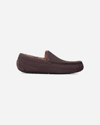 UGG Ascot Hausschuhe f&uuml;r Herren in Dusted Cocoa, Gr&ouml;&szlig;e Wildleder