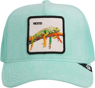 Goorin Brothers Cap Terry Cloth Iguana