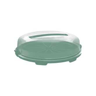 Rotho Fresh flache Tortenglocke, Kunststoff (PP) BPA-frei, türkis/transparent, (35.5 x 34.5 x 11.6 cm)