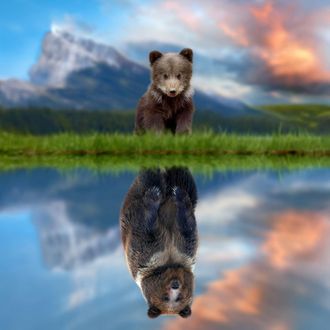 Wallario Glasplatte, Schutzplatte 55 x 55 cm - geeignet f&uuml;r IKEA Lack Tisch, f&uuml;r Beistelltisch/Couchtisch, Zukunftsaussichten