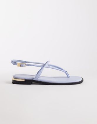 Tommy Hilfiger Zehenstegsandalen in Babyblau