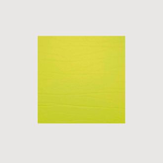 Daff Untersetzer Dumbo - 20 x 20 Lime