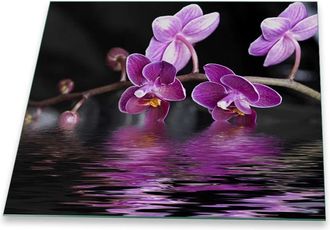 Decorwelt Herdabdeckplatte Abdeckung Ceranfeld Abdeckplatte Schneidebrett 1-Teilig 60x52 Orchidee Lila Spritzschutz Glasplatte Ceranfeldabdeckung Schutz Kochpla