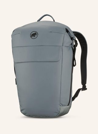 Mammut Mammut Rucksack Seon Courier 20 L Mit Laptop-Fach grau