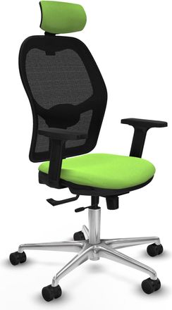 Piqueras y Crespo Ergonomischer Stuhl mit 2D-Armen, h&ouml;henverstellbare Lendenwirbelst&uuml;tze und h&ouml;henverstellbares Kopfteil, Schwarz / Pistazie