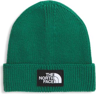 The North Face CAPPELLO THE NORTH FACE NF0A8CHENL11 TNF LOGO BOX EVERGR