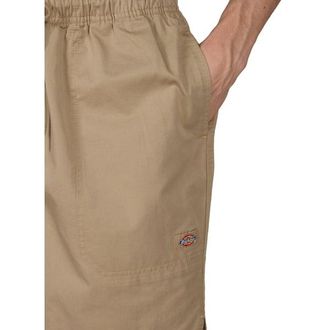 Dickies Short Pelican en coton