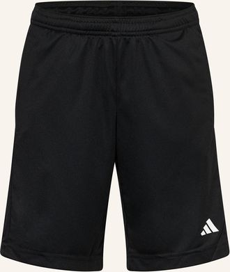 adidas Shorts Train Essentials Logo Regular Fit schwarz