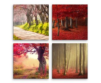 Paul Sinus Art 4 teiliges Leinwandbild je 40x40cm - Bäume Herbst Laub Spaziergang