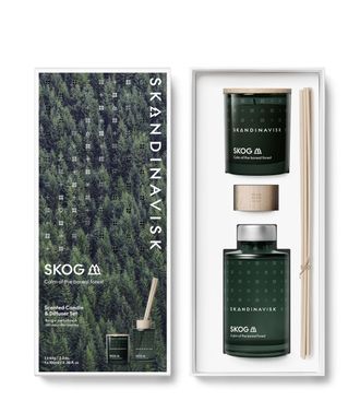 Skandinavisk SKOG Wald Geschenkset mit einer Mini-Duftkerzen 65 g & einem Duftst&auml;bchen Diffuser 100 ml, Duftnoten: Kiefernnadeln und Tannenzapfen, Birkensaft und M