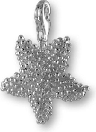 Melina 925 Damen-Charm Anhänger Seestern 925 Sterling Silber 1801121