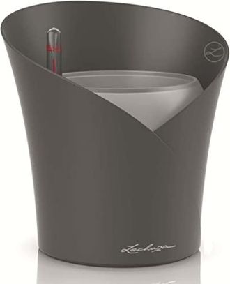 Lechuza ORCHIDEA schiefergrau matt 13961