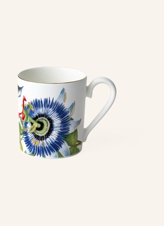 Villeroy & Boch Henkelbecher Amazonia weiss
