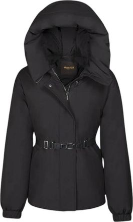 Moorer Homme, Vestes, Noir, Taille: 3XS Glarea Short Down Jacket