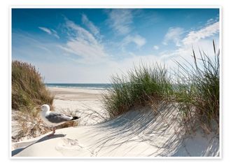 Posterlounge Sylt, Dünentraum Poster von Reiner Würz 70 x 50 cm Wandbilder Wanddeko