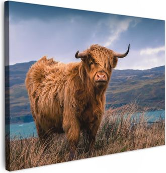 MuchoWow © Leinwände 80x60 cm Wall Decoration Bilder Schlafzimmer Deko Pictures Canvas Painting Wanddekoration Wohnzimmer Schottisches Hochlandrind - Highland 