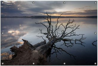 Wallario Outdoor-Poster f&uuml;r Garten oder Balkon Baum im Abendlicht, Motivbanner Gr&ouml;&szlig;e: ca. 100 x 150 cm, Outdoor-Bild