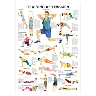 R&uuml;diger Mini-Poster Training der Faszien, LxB 34x24 cm
