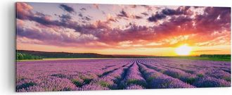 Arttor Panorama Bilder auf Leinwand Lavendel Berge Feld Leinwandbild 140x50cm Wandbilder Dekoration Wohnzimmer Schlafzimmer K&uuml;che Gro&szlig; XXL Wanddeko Bild Wand