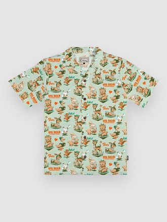 THE DUDES Wasted Dudes Hawaiian Chemise vert