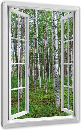 Pixxprint Birkenwald, Fenster, Gr&ouml;&szlig;e: 120x80cm, Leinwandbild, fertig gespannt, Wandbild, Dekoration, Kunstdruck, kein Poster